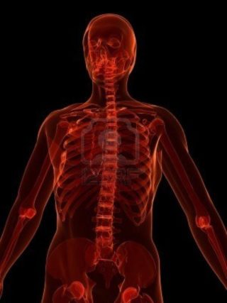 Animal Instincts of the Human Body: A Psychological and Skeletal ...